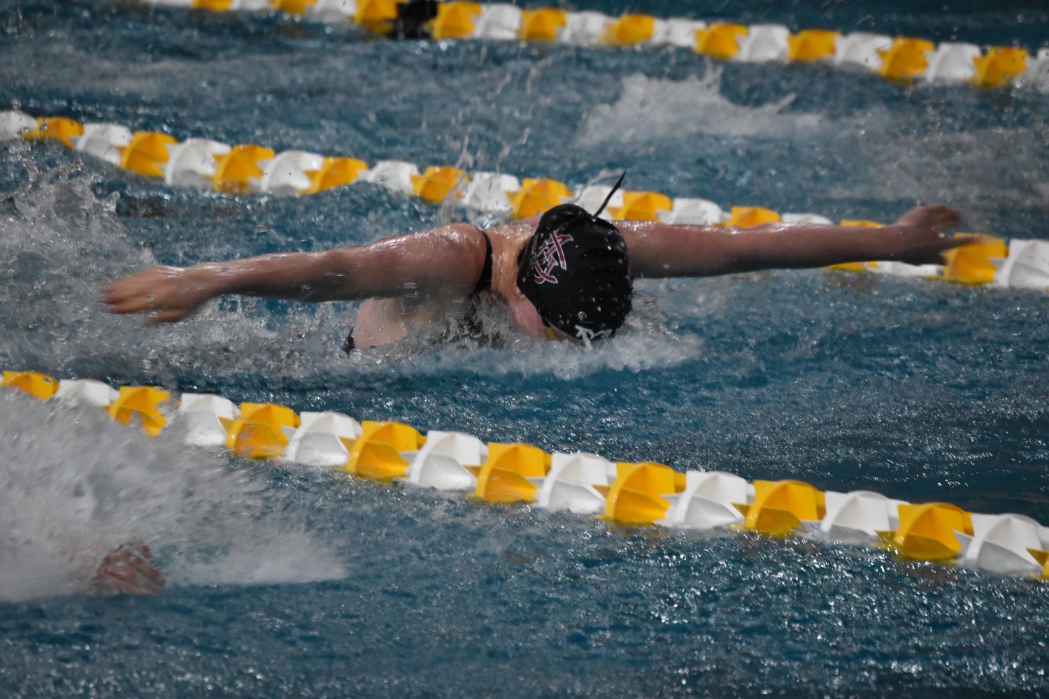 All-America Team – College Swimming and Diving Coaches Association